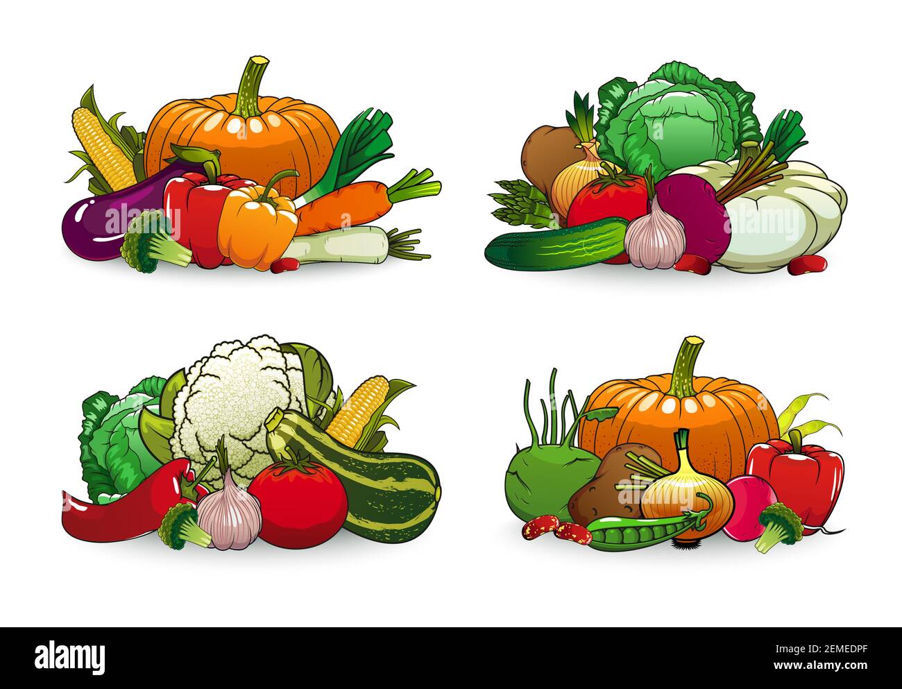 Farm vegetables vector icons squash, bell pepper and cauliflower with ...