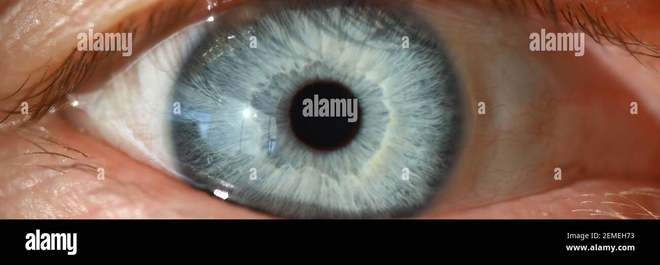 Blue human eye with black pupil closeup Stock Photo - Alamy