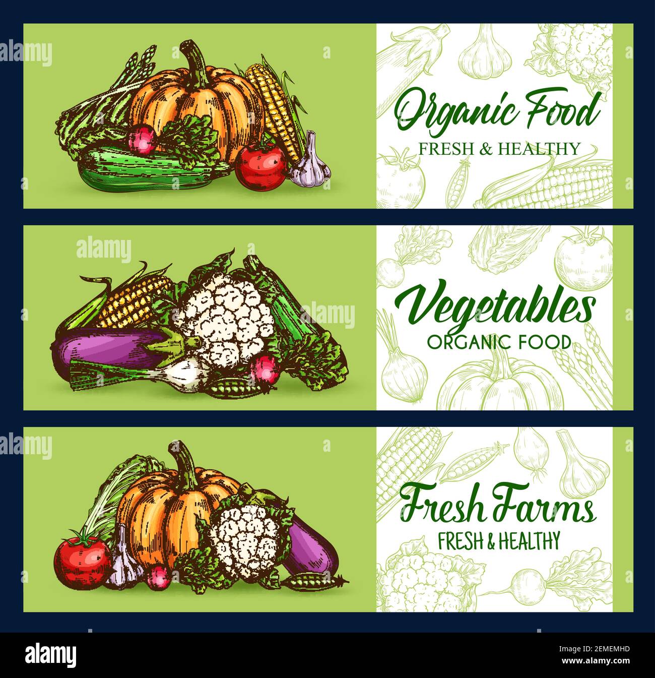 Farm vegetables, veggies sketch banner, vector chalkboard food market ...
