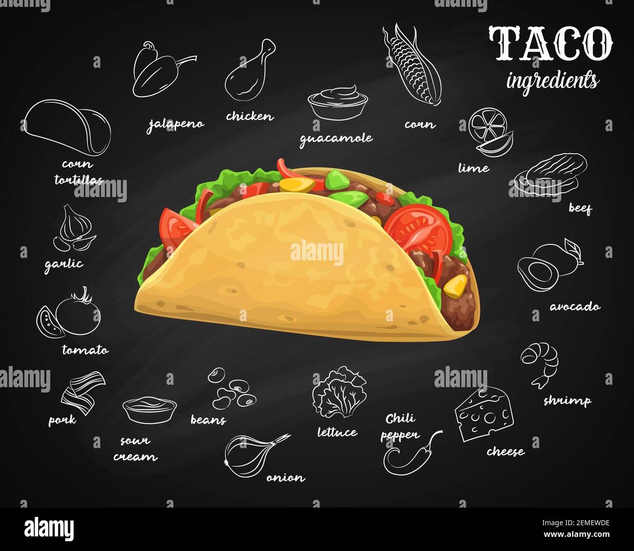 Gourmet taco sketch hi-res stock photography and images - Alamy