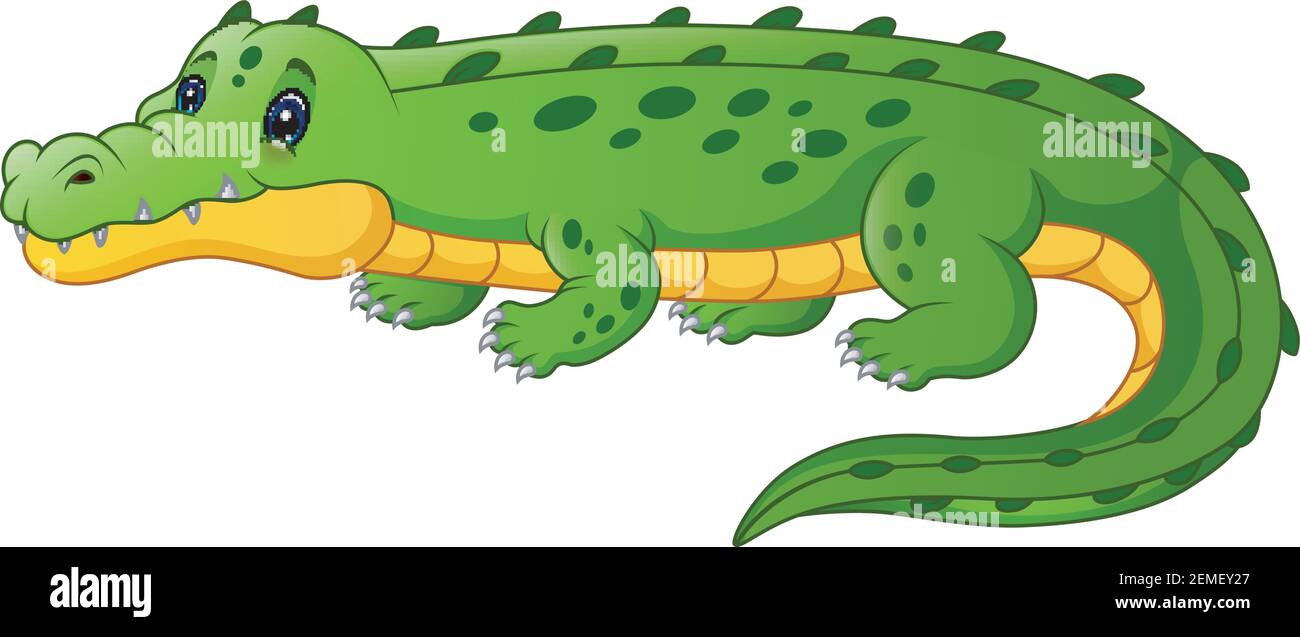 Vector illustration of Cartoon crocodile Stock Vector Image & Art - Alamy