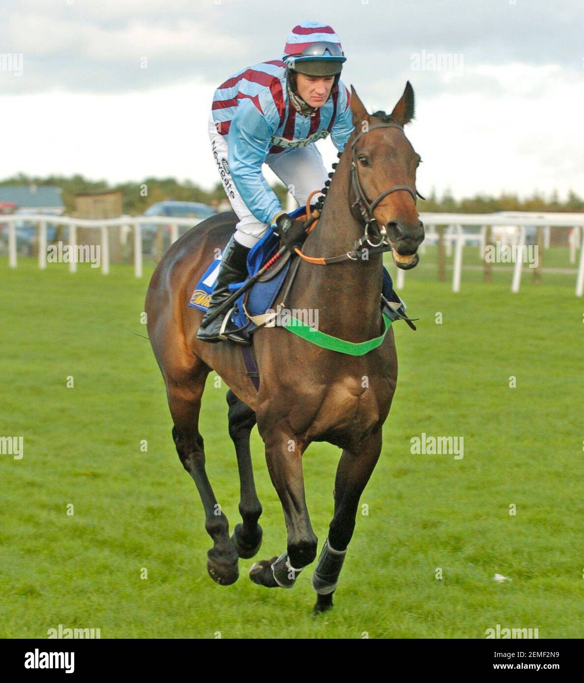 RACING AT EXETER BEST MATE ON HIS WAY TO THE START 1/11/2005 PICTURE ...