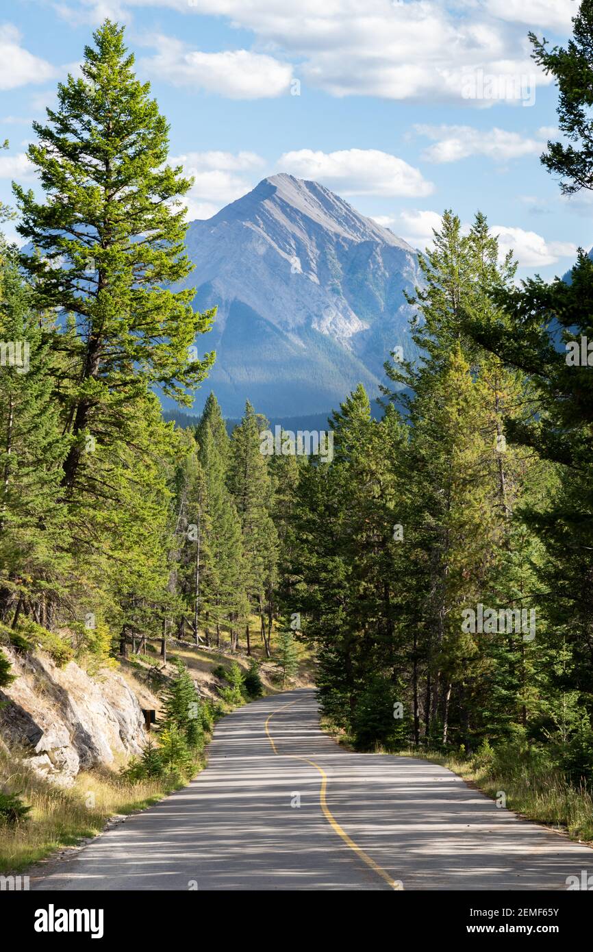 Scenic country road in the forest. Tunnel Mountain Drive route. Banff ...