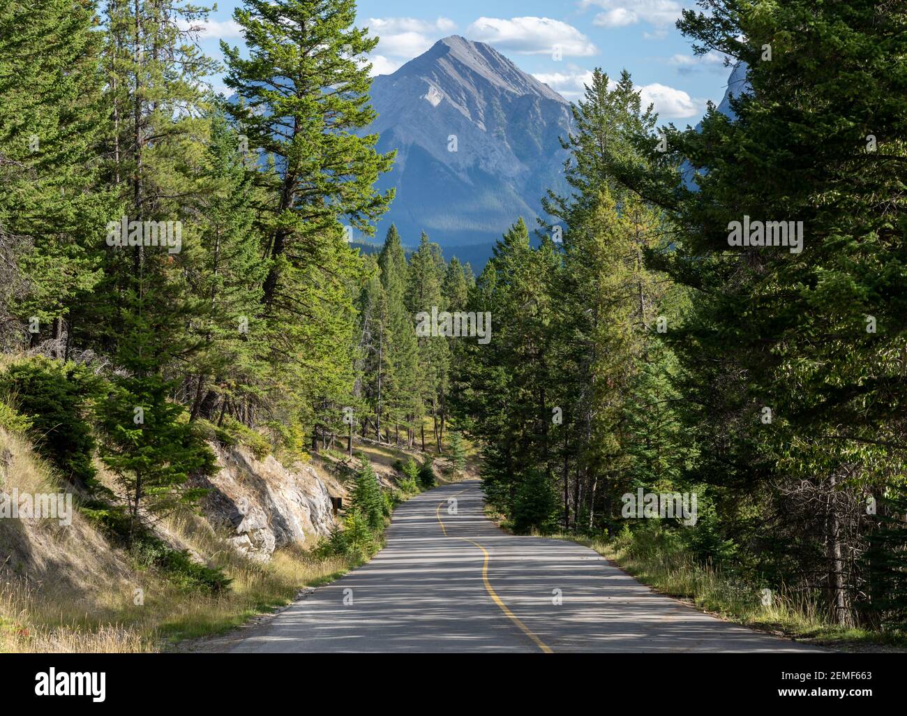 Scenic country road in the forest. Tunnel Mountain Drive route. Banff ...
