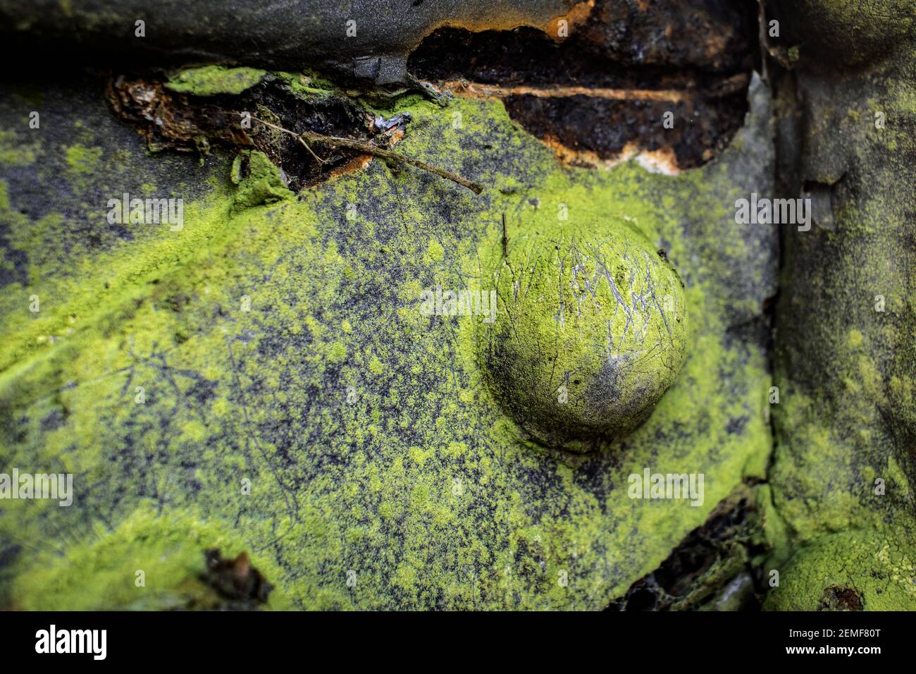 Image tarnishing hi-res stock photography and images - Alamy