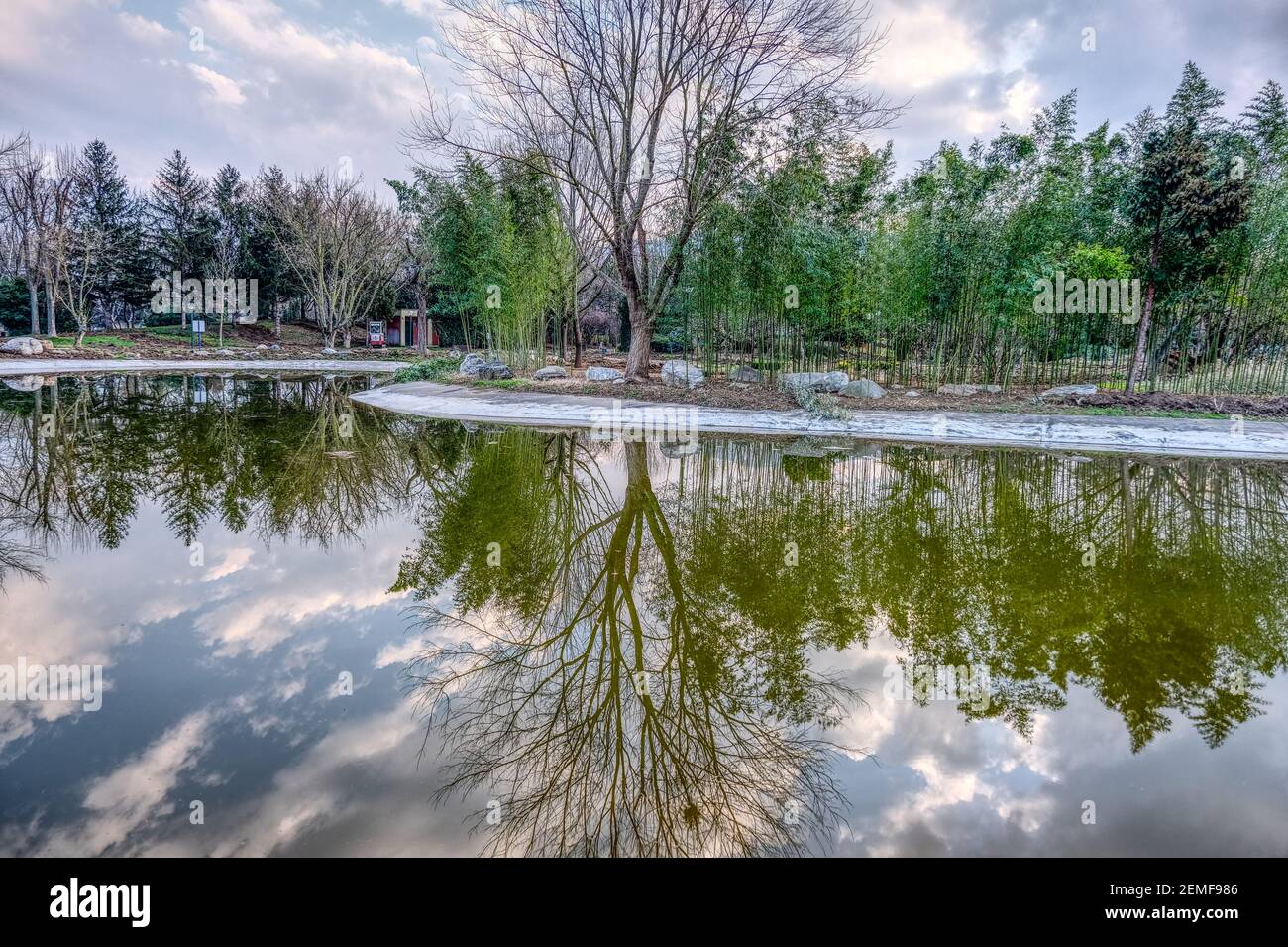 Small lake and pond view with autumn colors. Great trees and their ...