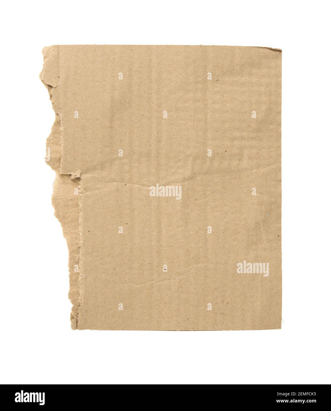 torn piece of corrugated cardboard isolated on white background, close ...
