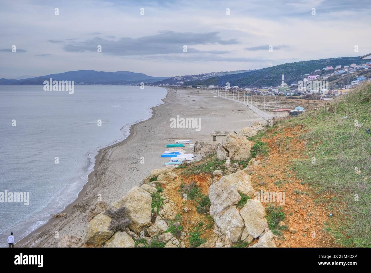 Moss bursa hi-res stock photography and images - Alamy