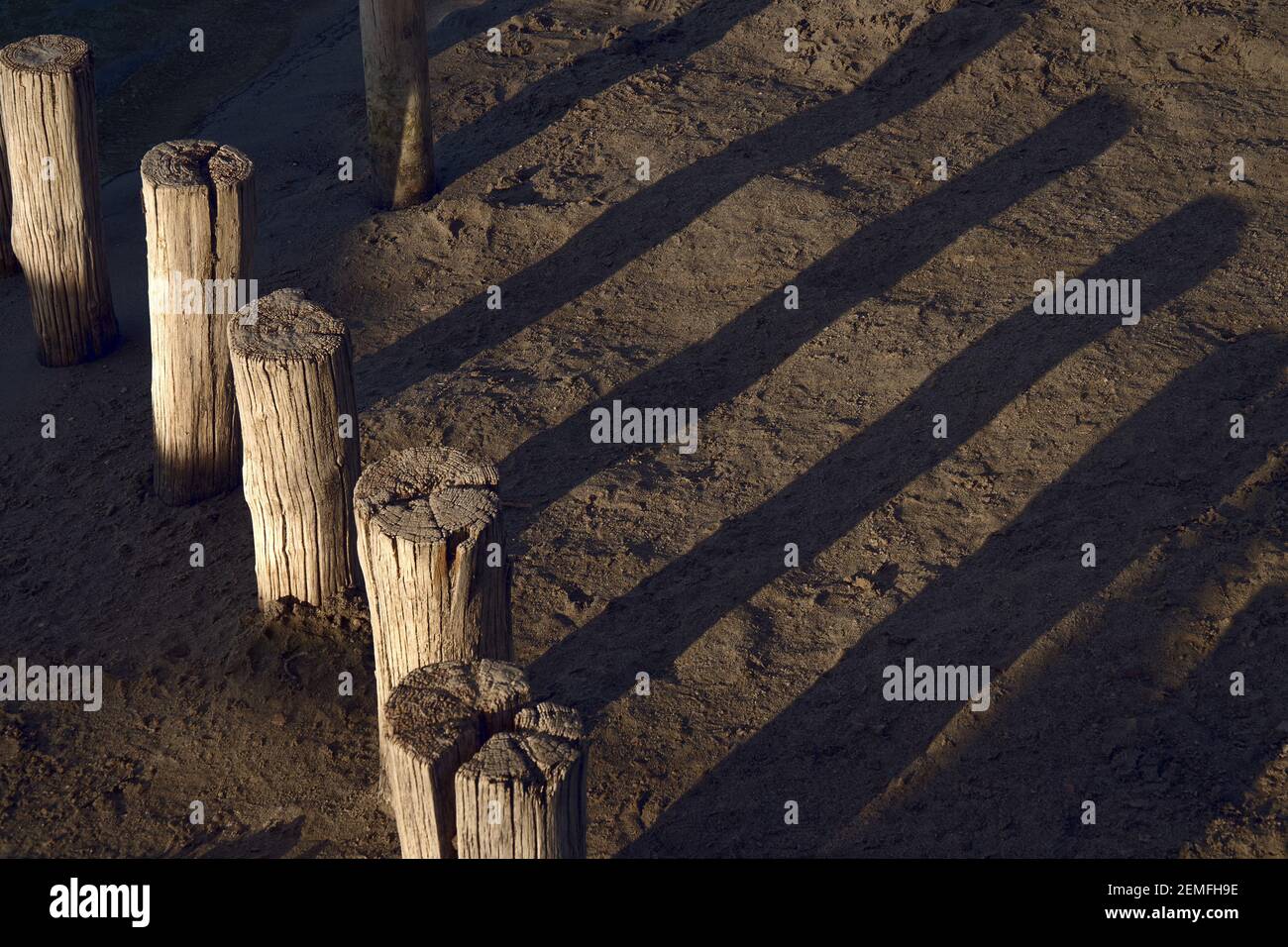 Long shadows in evening sun hi-res stock photography and images - Alamy