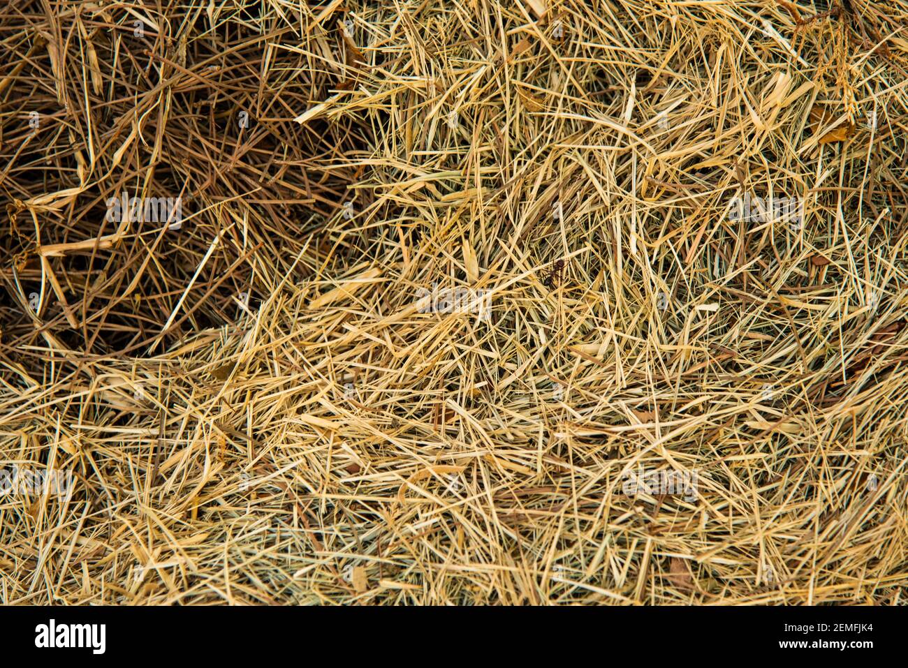 Dry hay stack background Stock Photo - Alamy