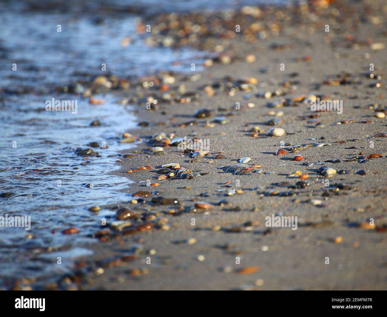Rocks at the beach of the Baltic Sea Stock Photo - Alamy
