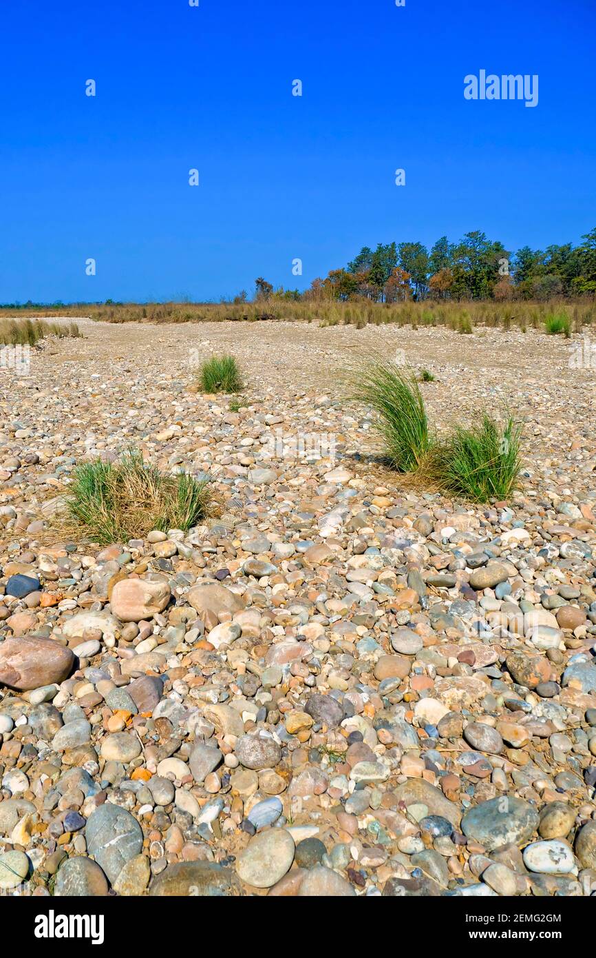 Dry River Bed, Wetlands, Royal Bardia National Park, Bardiya National ...