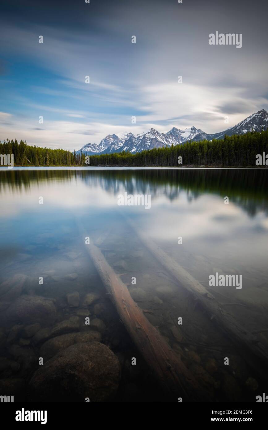 A couple of submerged logs in Herbert Lake on a nice Summer day in ...