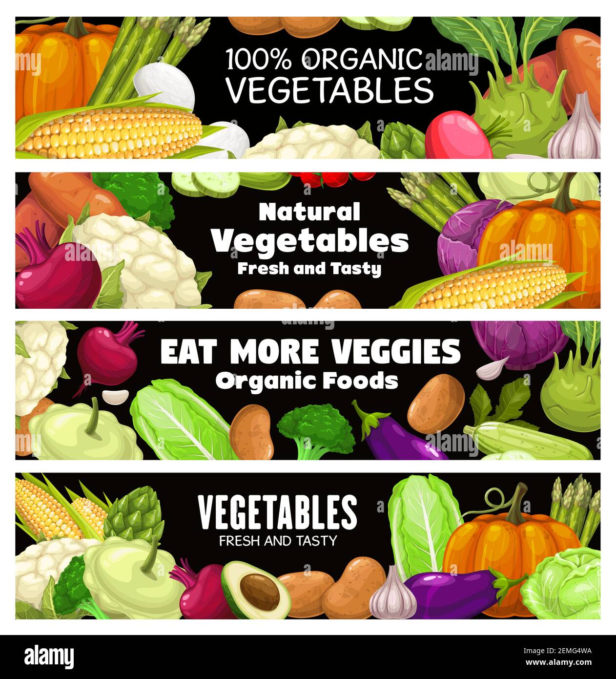 Vegetables vector banners, raw veggies squash, cauliflower with ...
