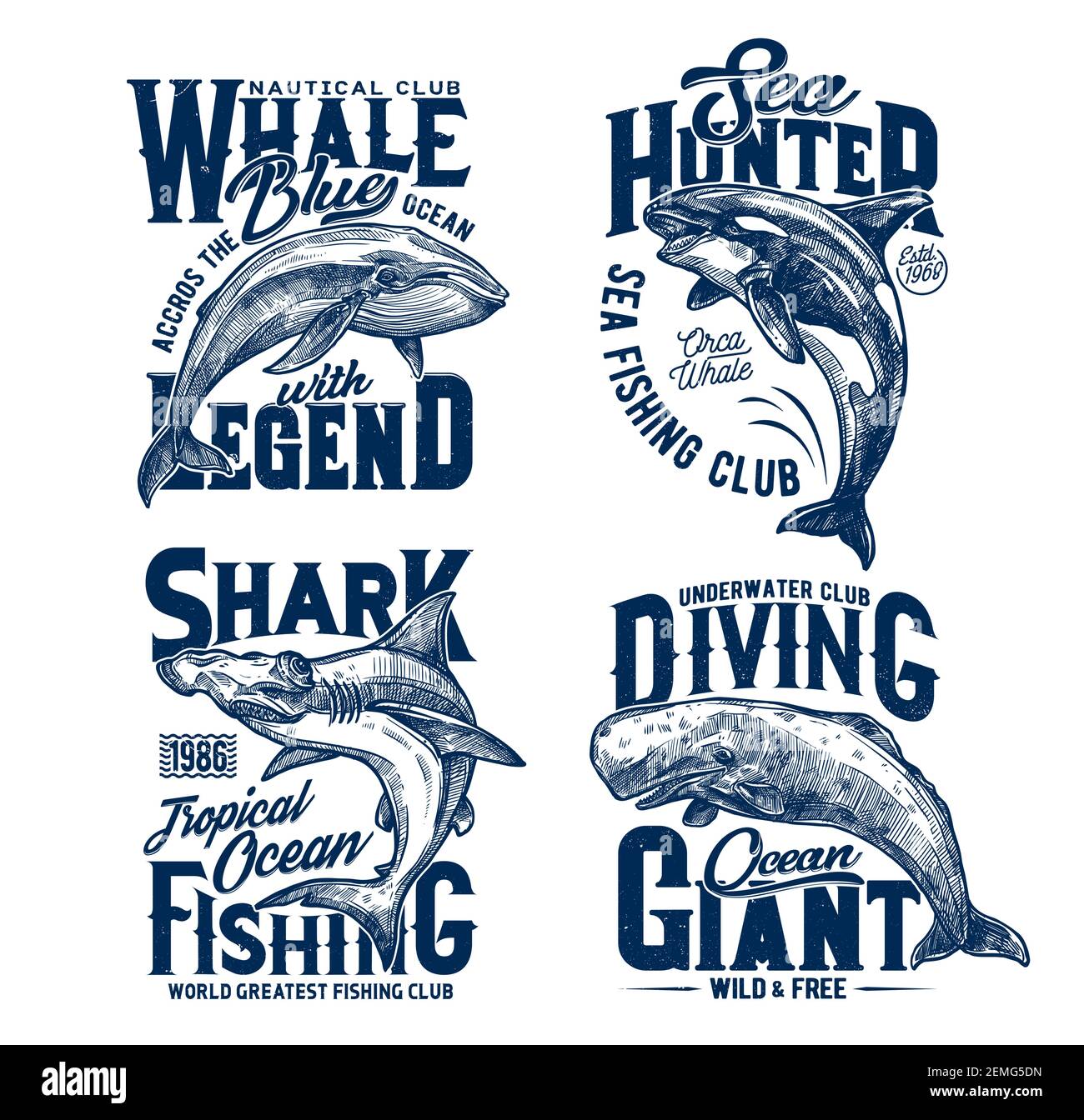 Orca ocean head Stock Vector Images - Alamy