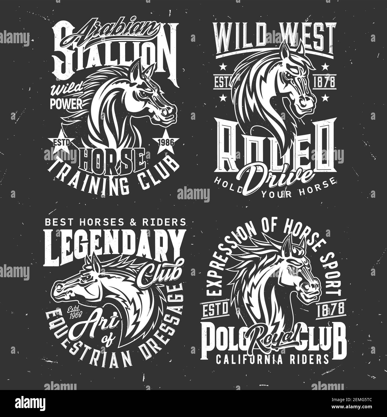 Bronco ride Black and White Stock Photos & Images - Alamy