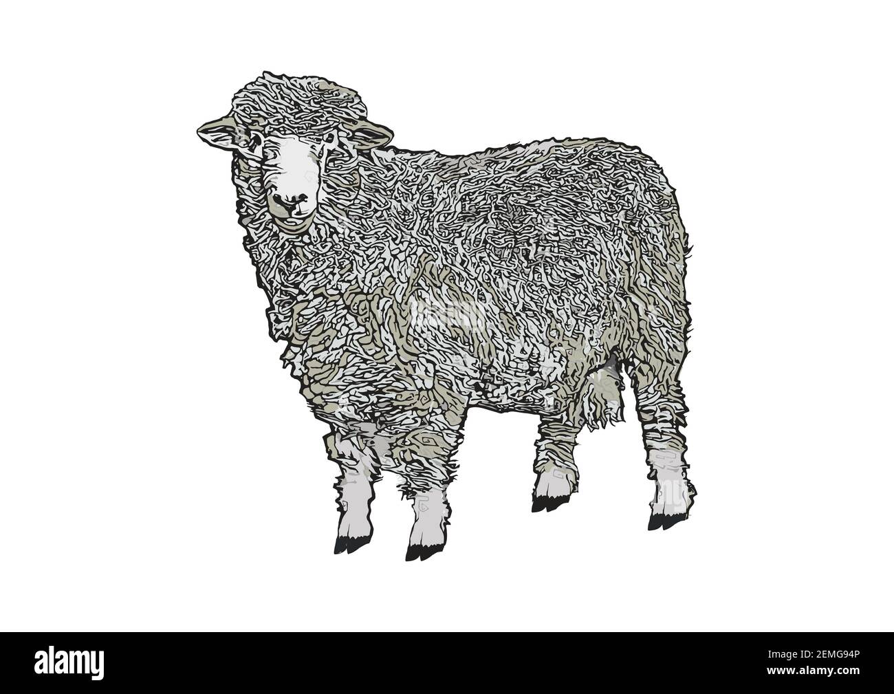 sheep vector illustration on white background Stock Photo - Alamy
