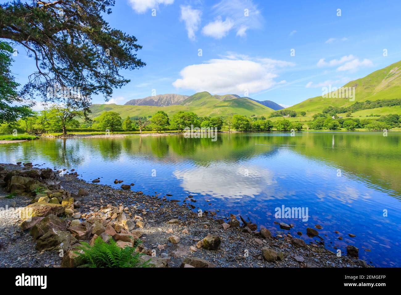 View over Buttermere towards Buttermere Fell on a sunny summer day with ...