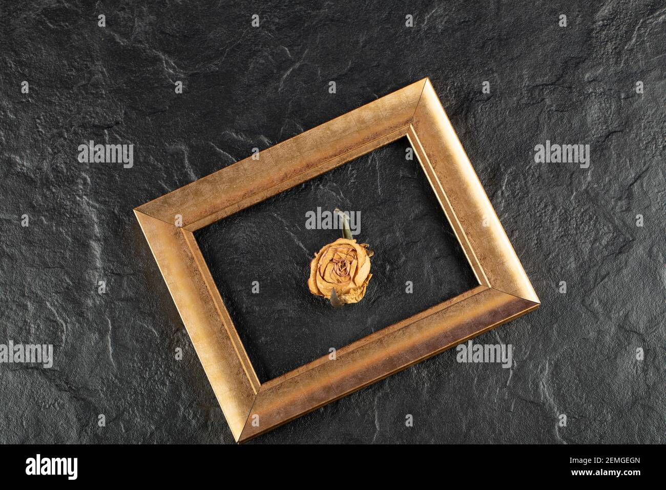 Dried rose with frame on a black background Stock Photo - Alamy