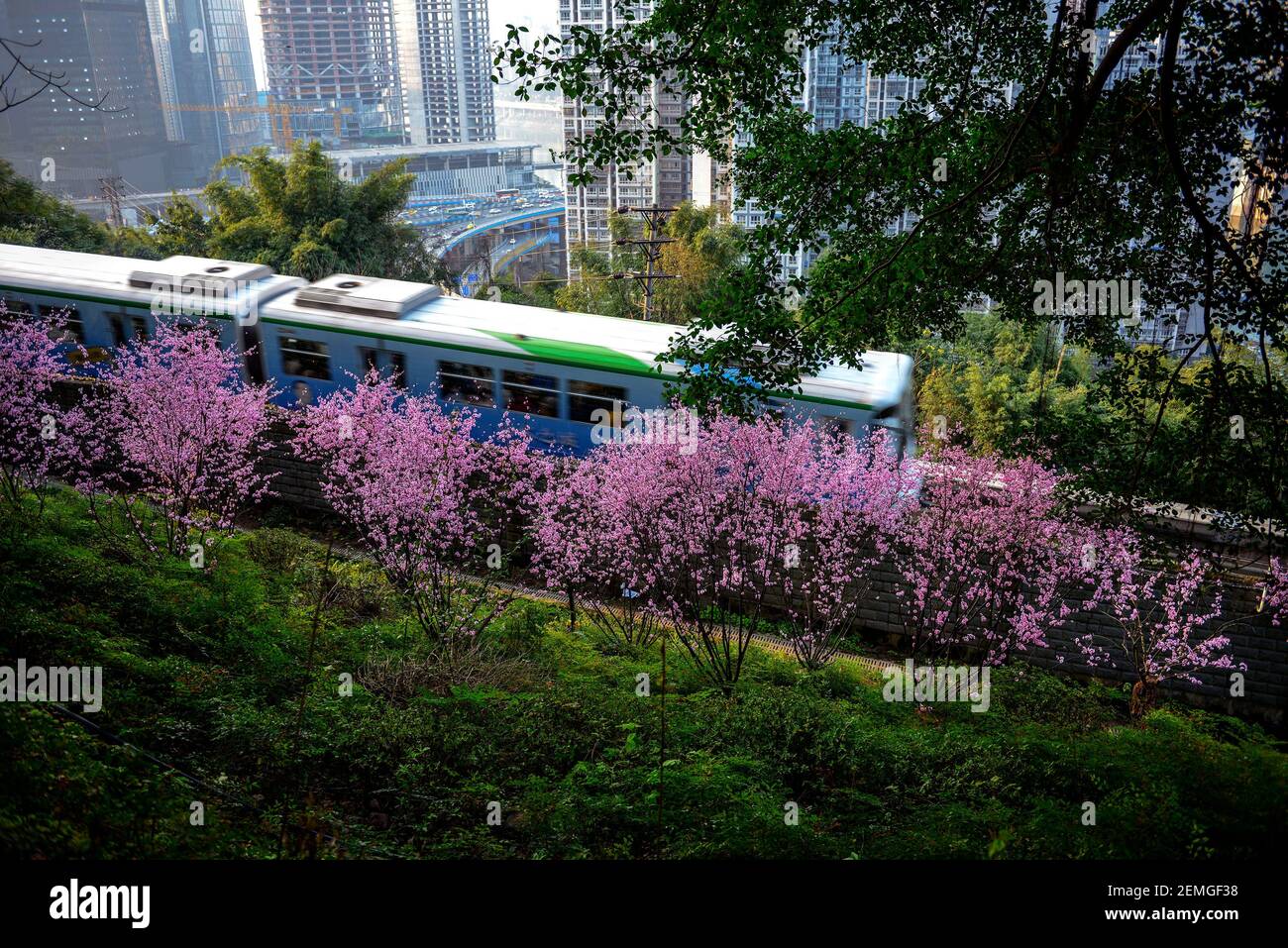Photo shows the internet-famous "Spring Train" which is heading through ...