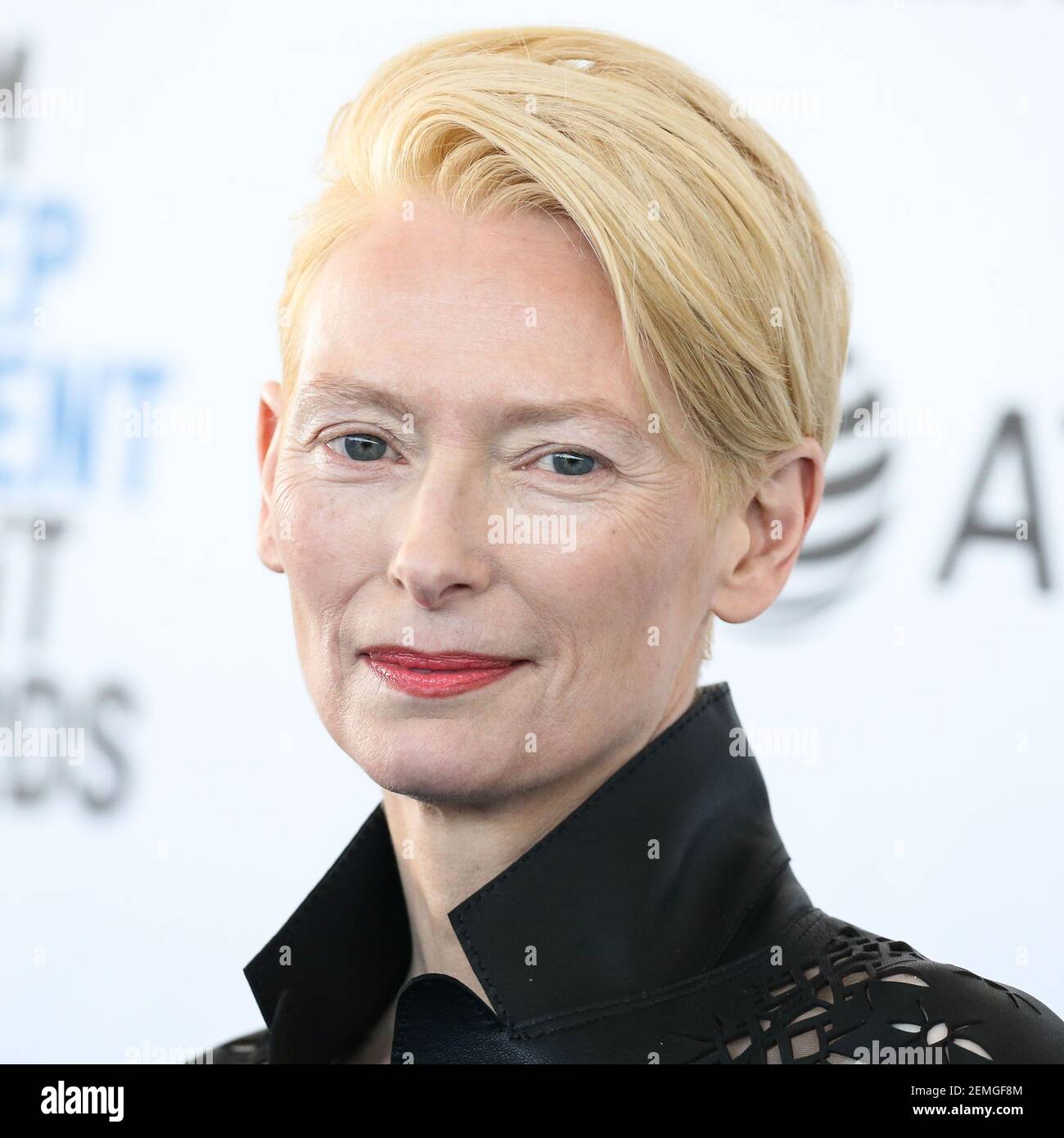 SANTA MONICA, LOS ANGELES, CA, USA - FEBRUARY 23: Actress Tilda Swinton ...