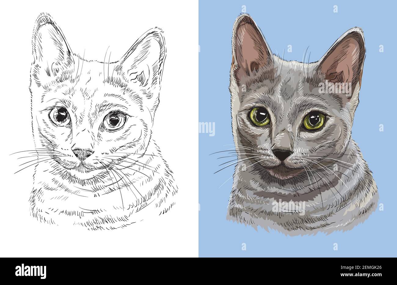 russian blue cat coloring pages