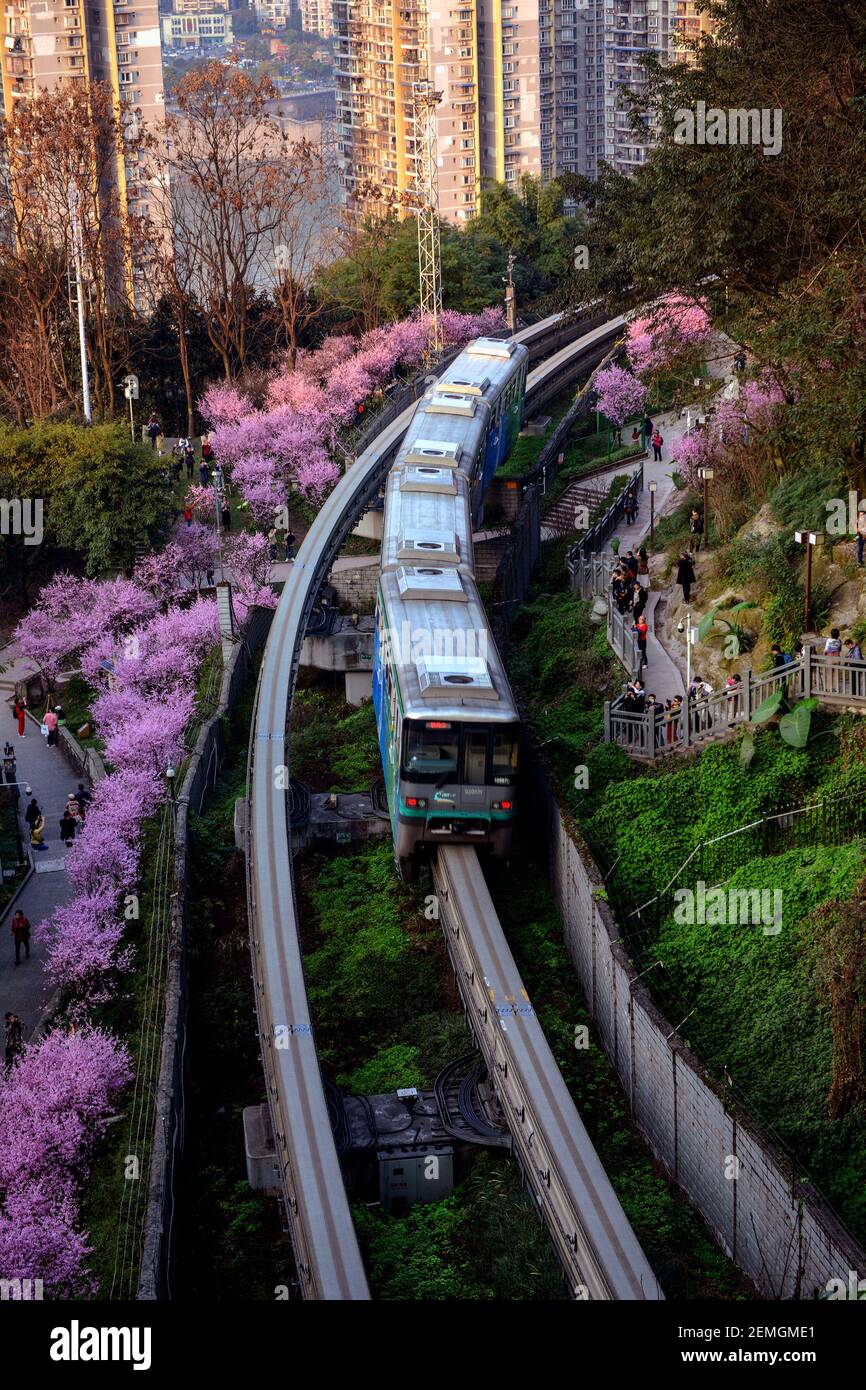 Photo shows the internet-famous "Spring Train" which is heading through ...