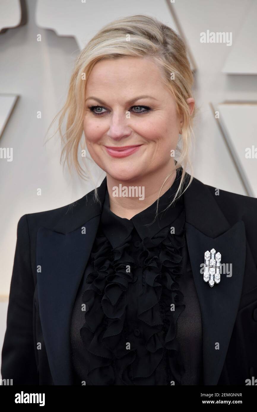 Amy Poehler walking on the red carpet at the 91st Academy Awards Oscars ...