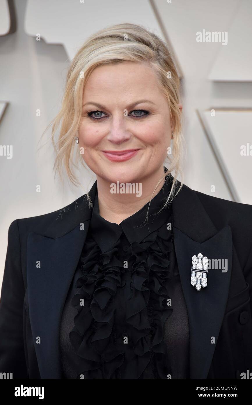 Amy Poehler walking on the red carpet at the 91st Academy Awards Oscars ...