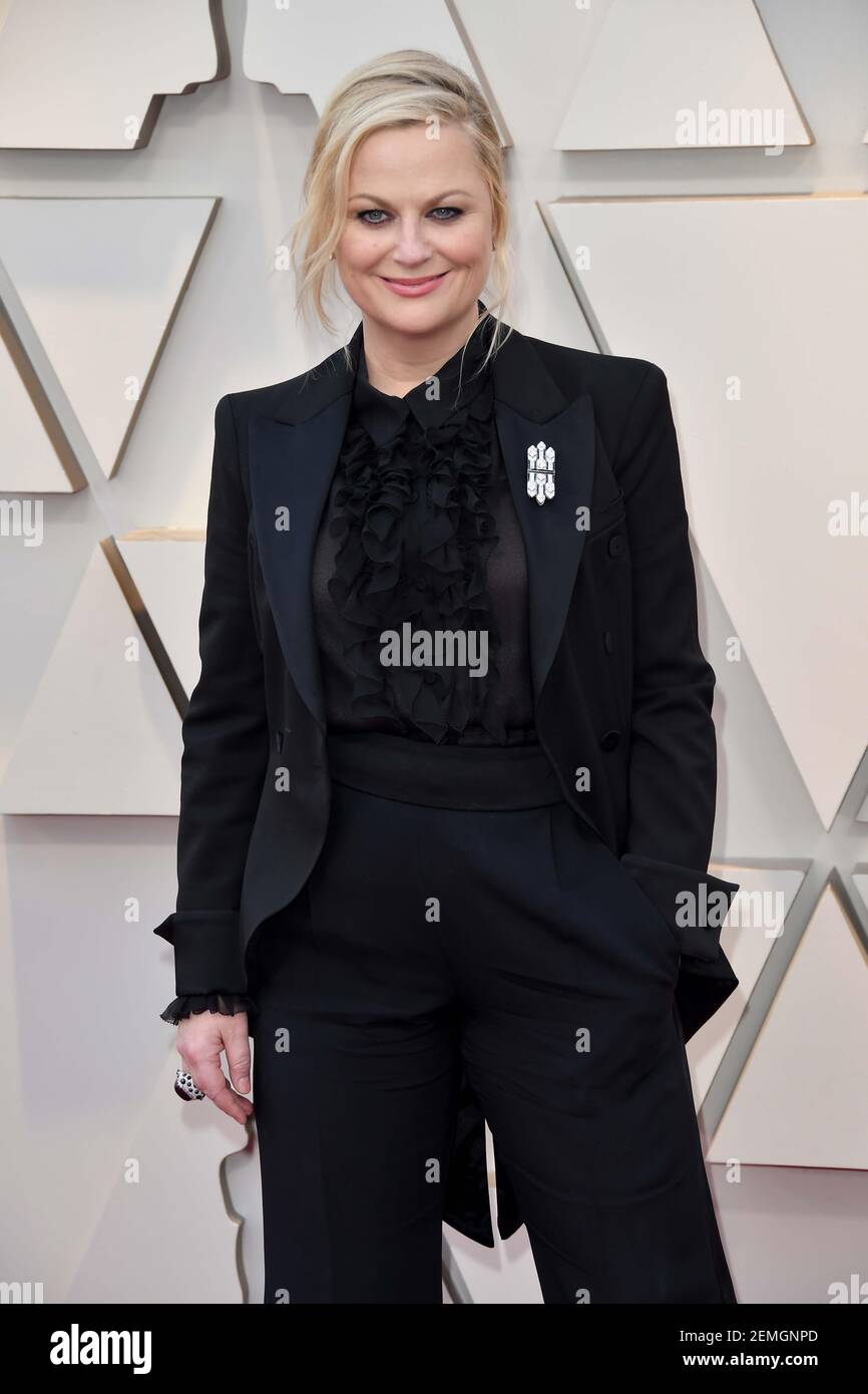 Amy Poehler walking on the red carpet at the 91st Academy Awards Oscars ...