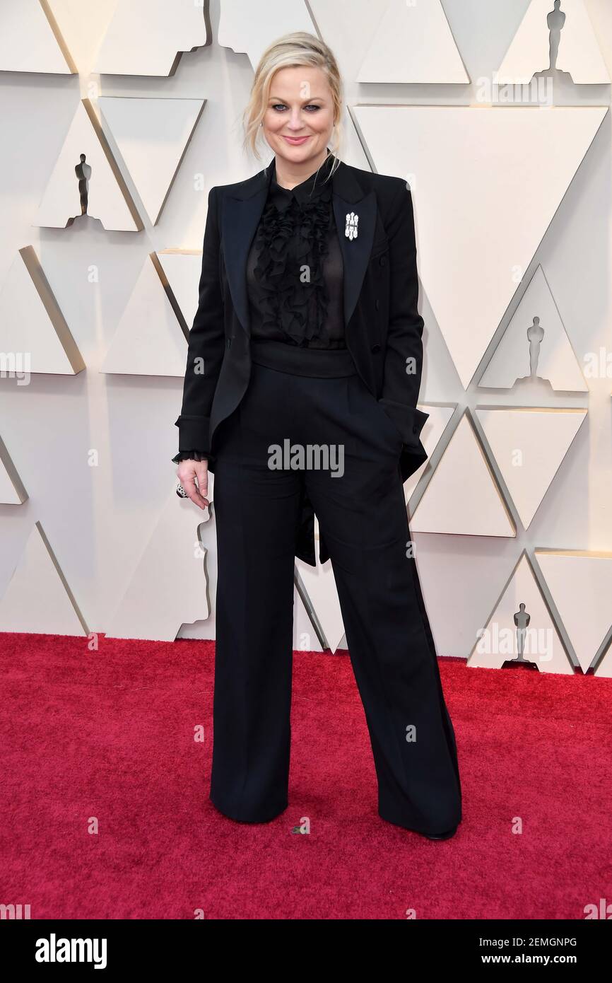 Amy Poehler walking on the red carpet at the 91st Academy Awards Oscars ...