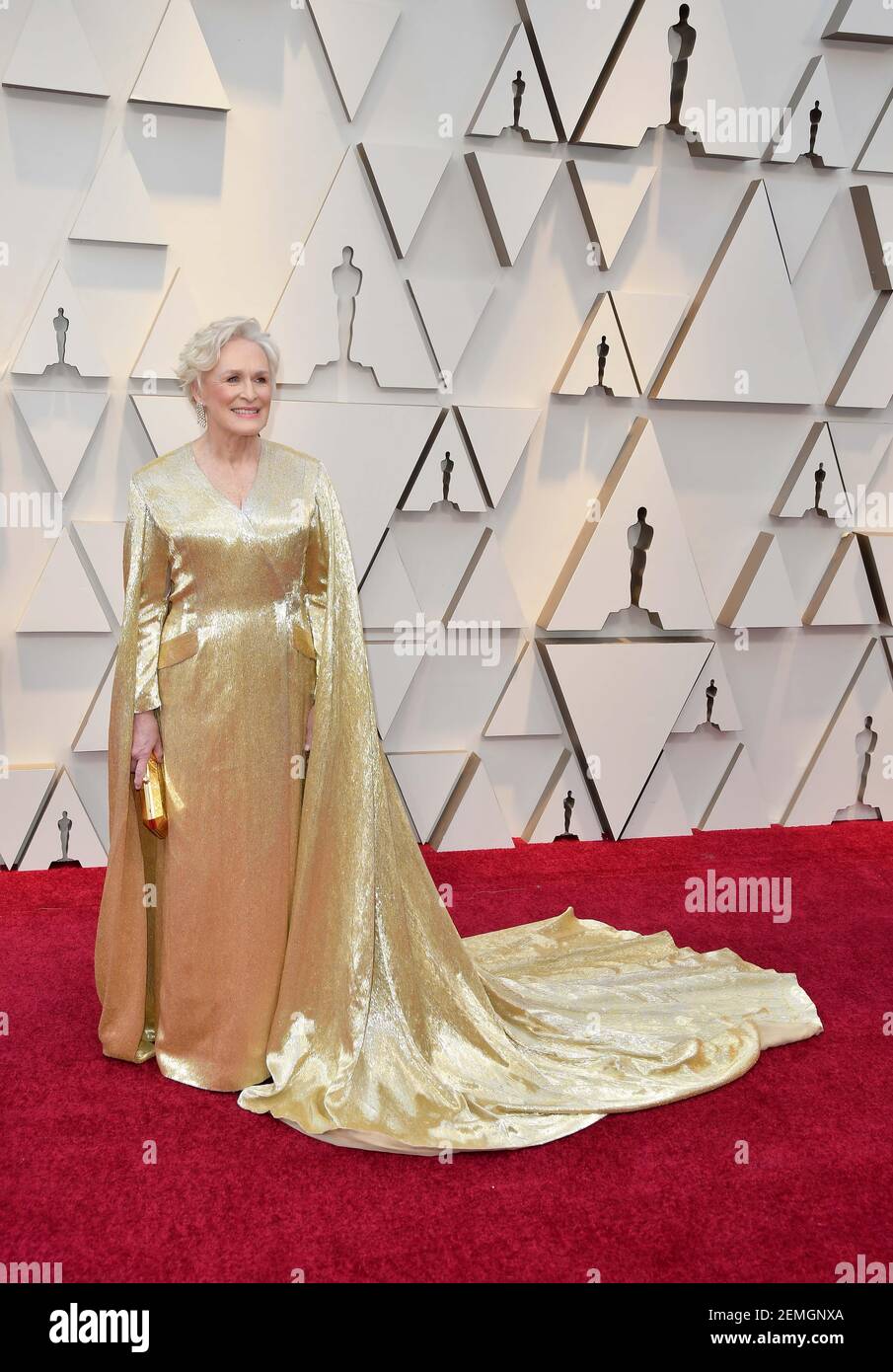 Glenn Close walking on the red carpet at the 91st Academy Awards Oscars ...