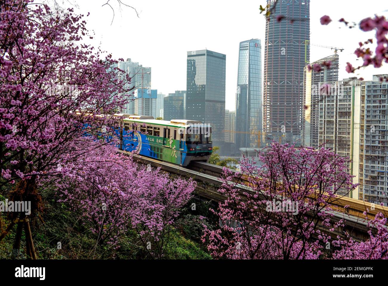 Photo shows the internet-famous "Spring Train" which is heading through ...