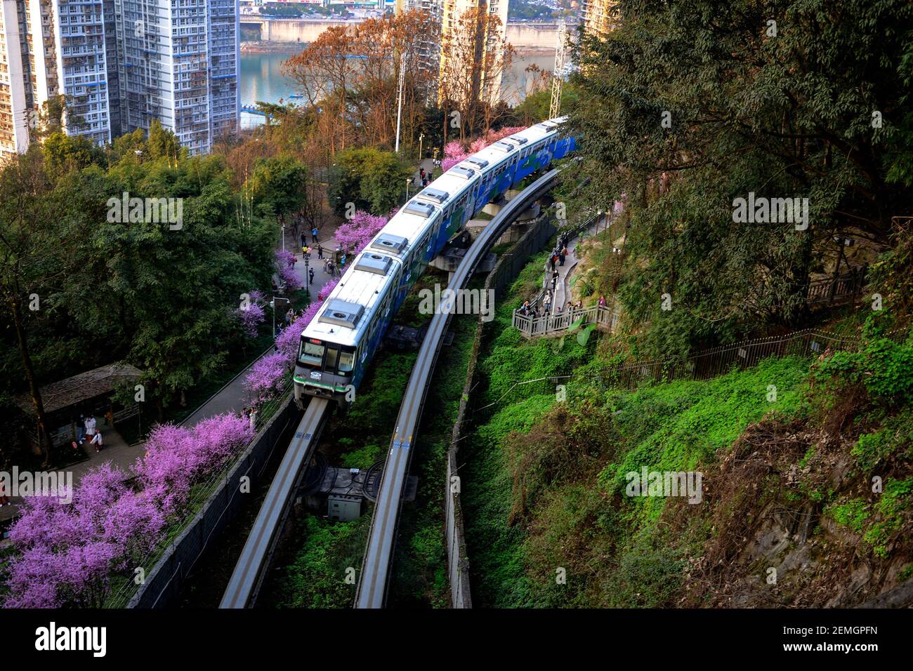 Photo shows the internet-famous "Spring Train" which is heading through ...