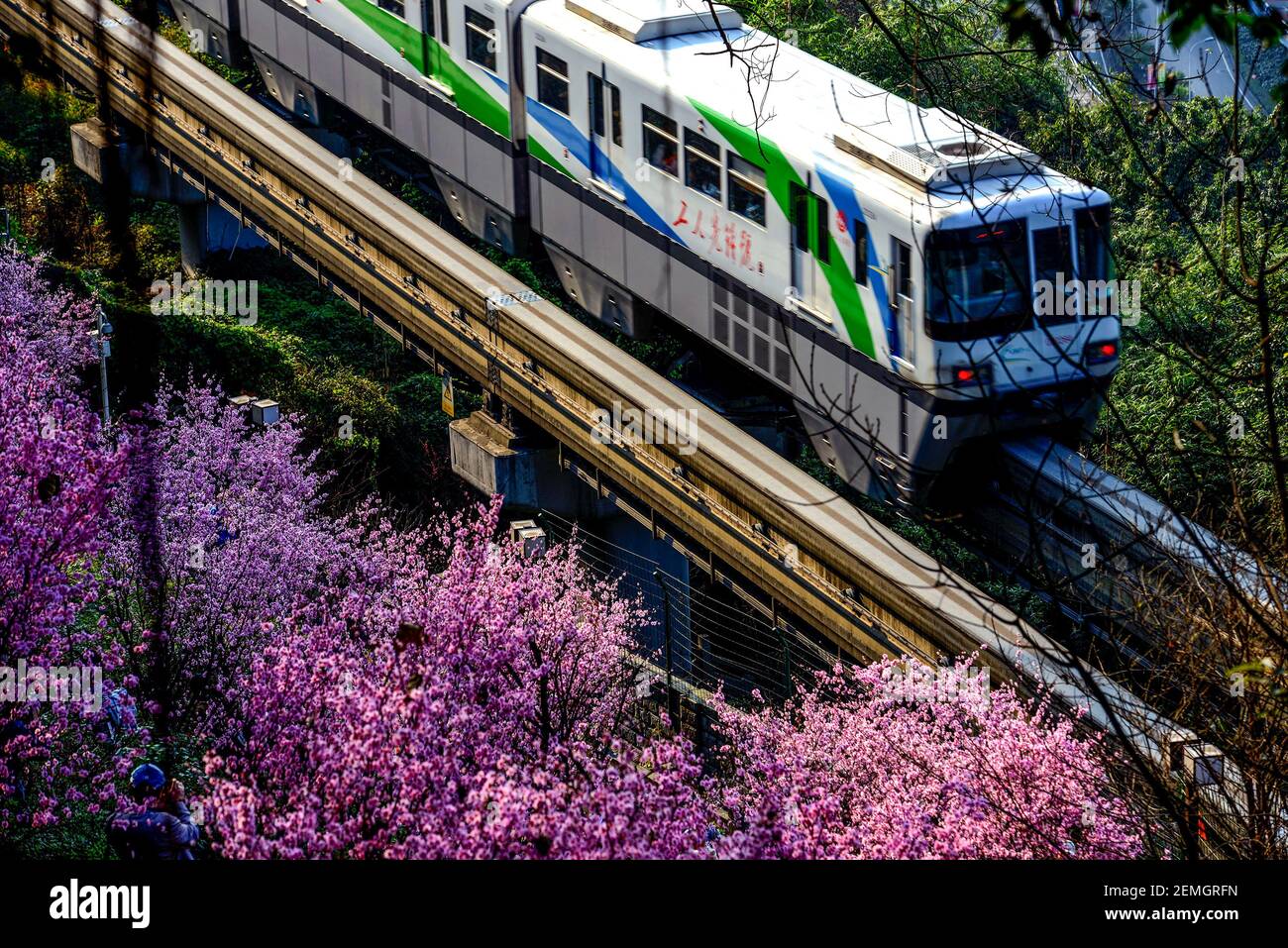 Photo shows the internet-famous "Spring Train" which is heading through ...