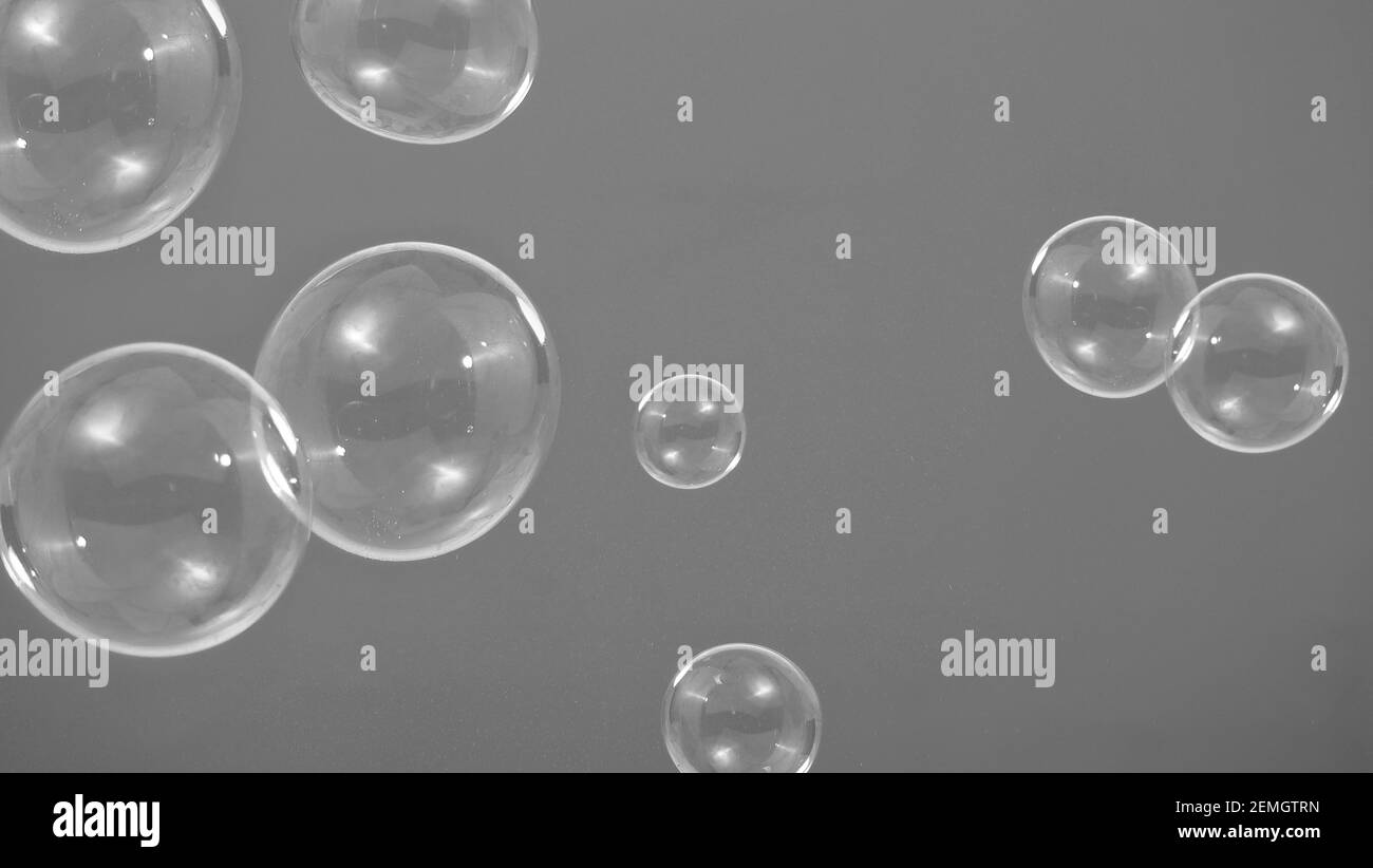 Shampoo bubbles floating like flying in the air by wind blow which ...