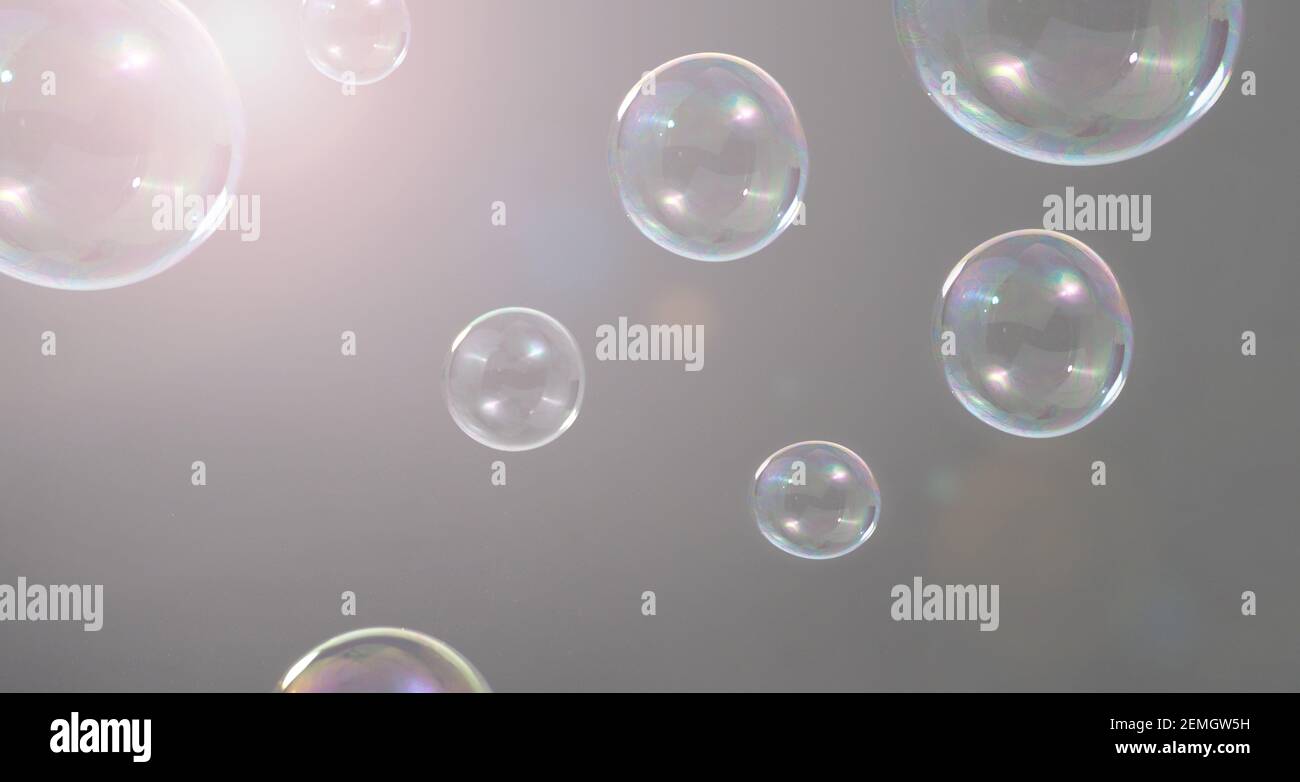Shampoo bubbles floating like flying in the air by wind blow which ...