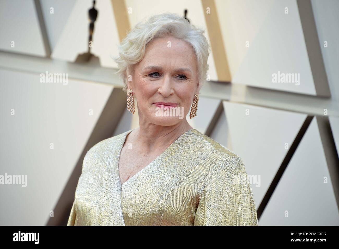 Glenn Close walking on the red carpet at the 91st Academy Awards Oscars ...