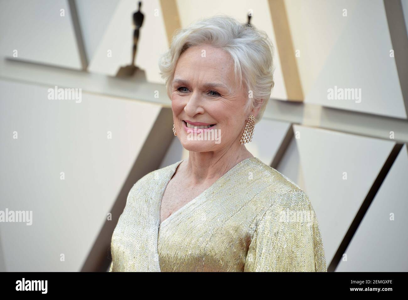 Glenn Close walking on the red carpet at the 91st Academy Awards Oscars ...