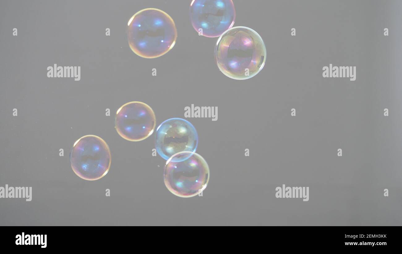 Shampoo bubbles floating like flying in the air by wind blow which ...