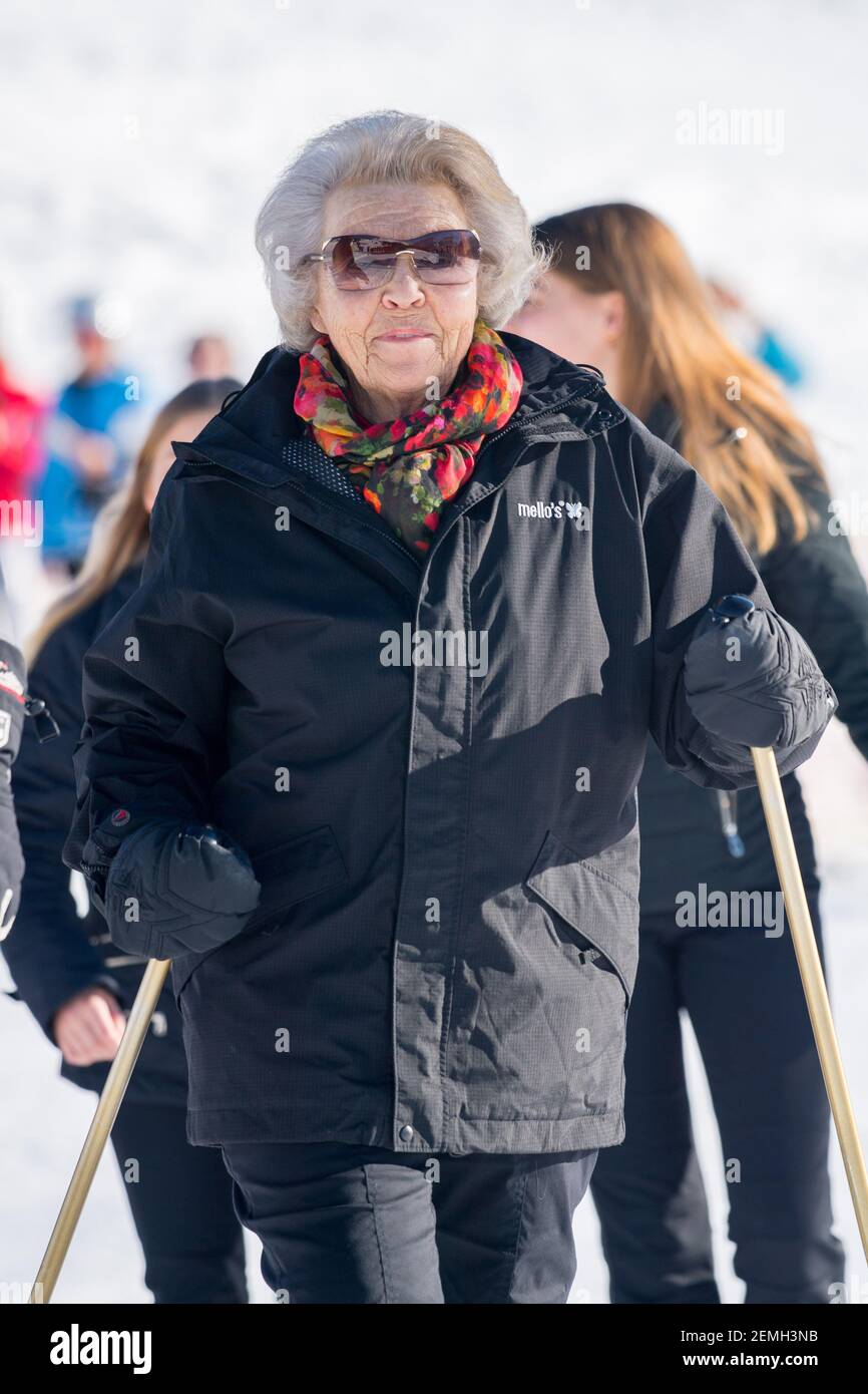 Princess Beatrix during the annual winter Royal photoc?all at the ...