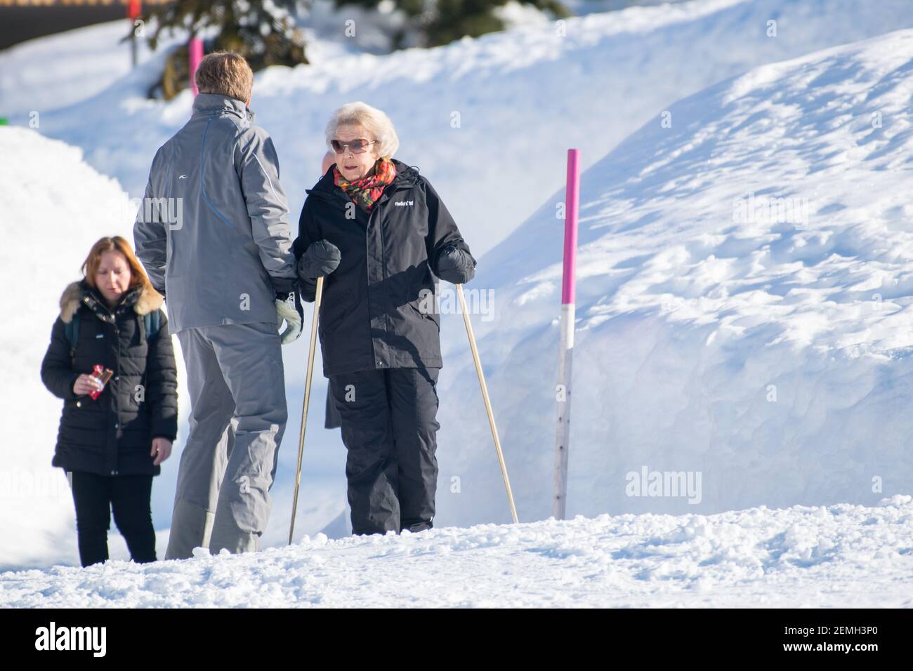 Princess Beatrix during the annual winter Royal photoc?all at the ...