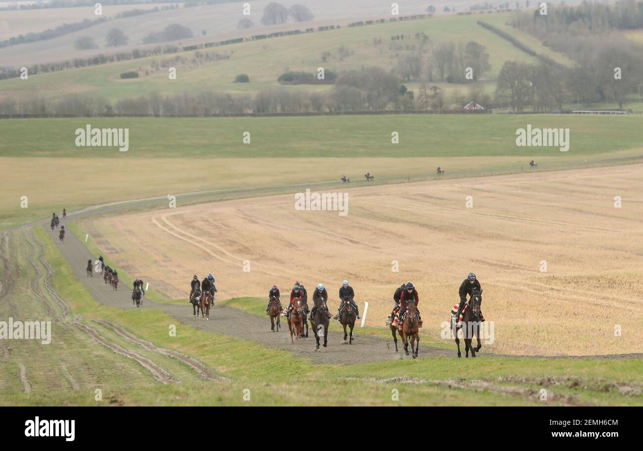 Shishkin leads horses on the gallops during the visit to Nicky ...