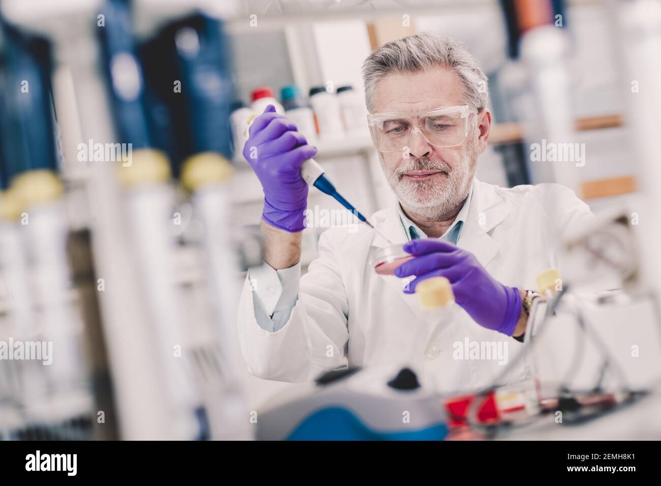 Life scientist researching in the laboratory Stock Photo - Alamy