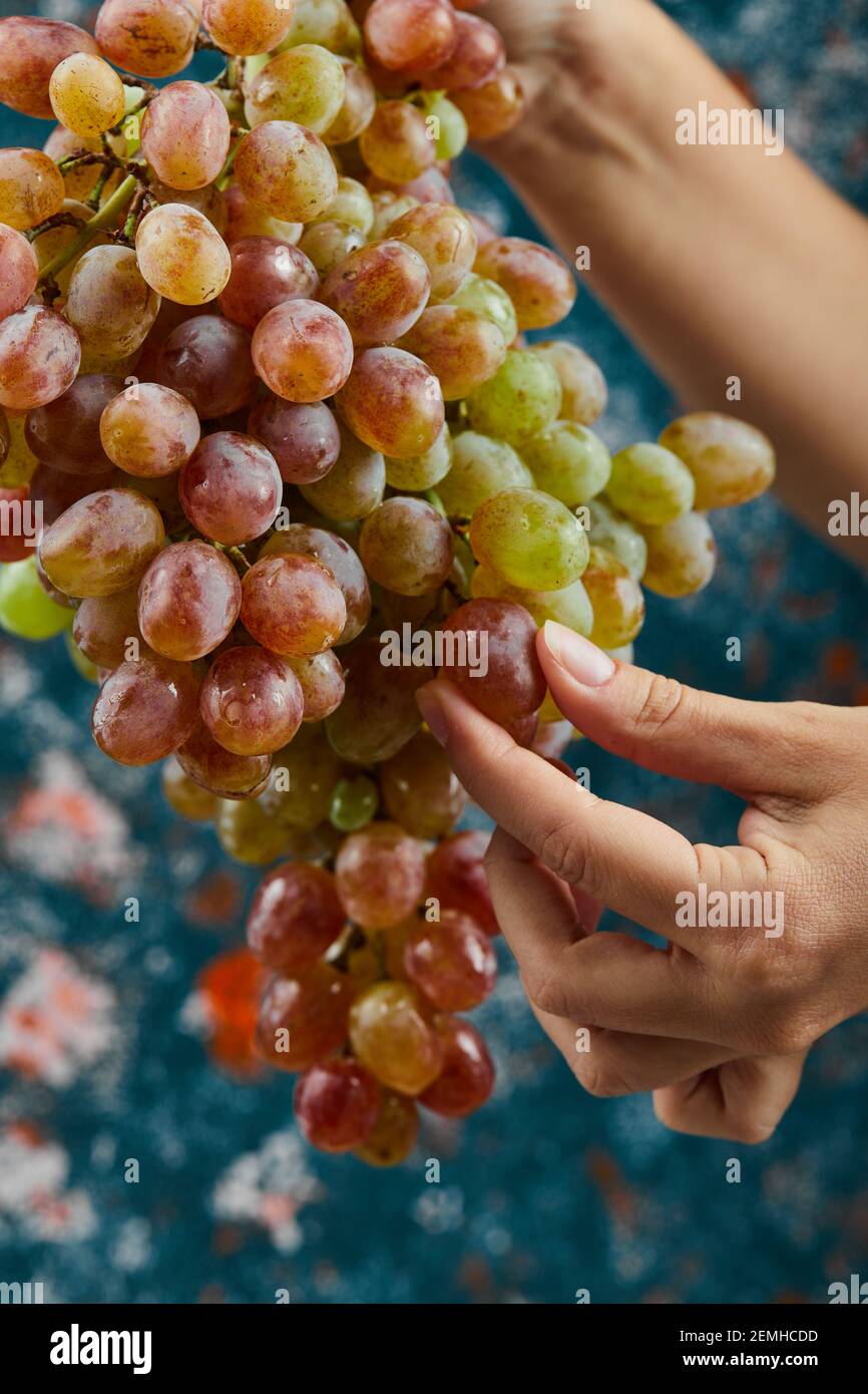 Bunch of grapes hand hi-res stock photography and images - Alamy