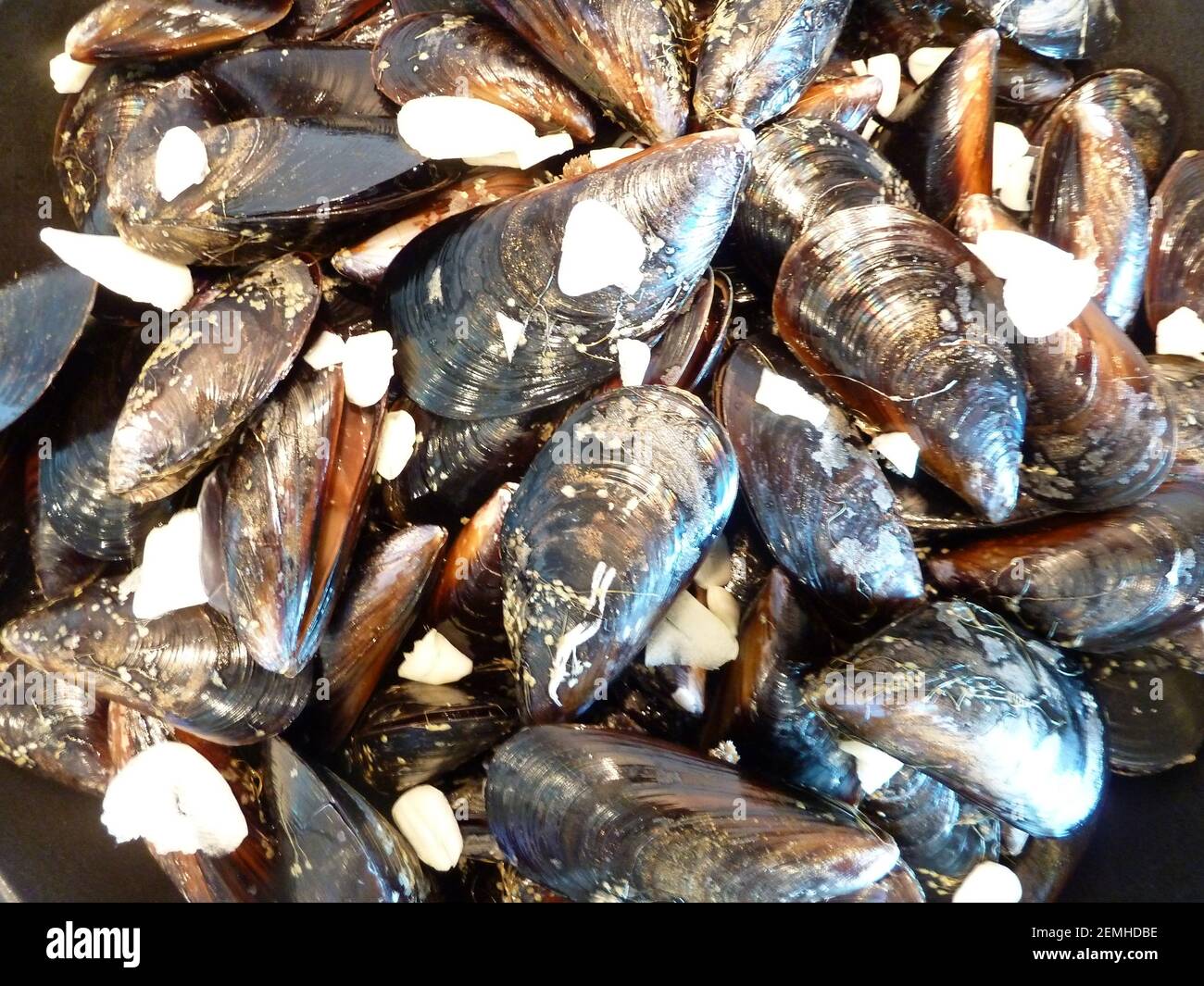 Farmed mussles hi-res stock photography and images - Alamy