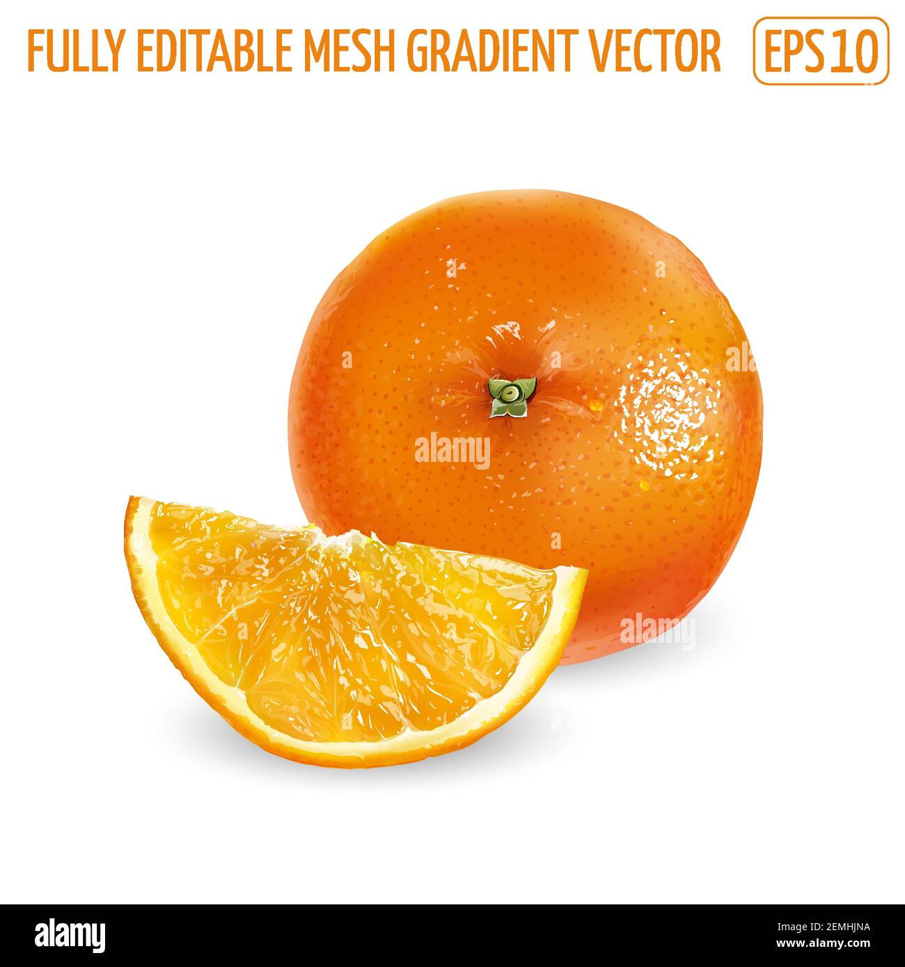 Whole orange with cut slice on a white background Stock Vector Image ...