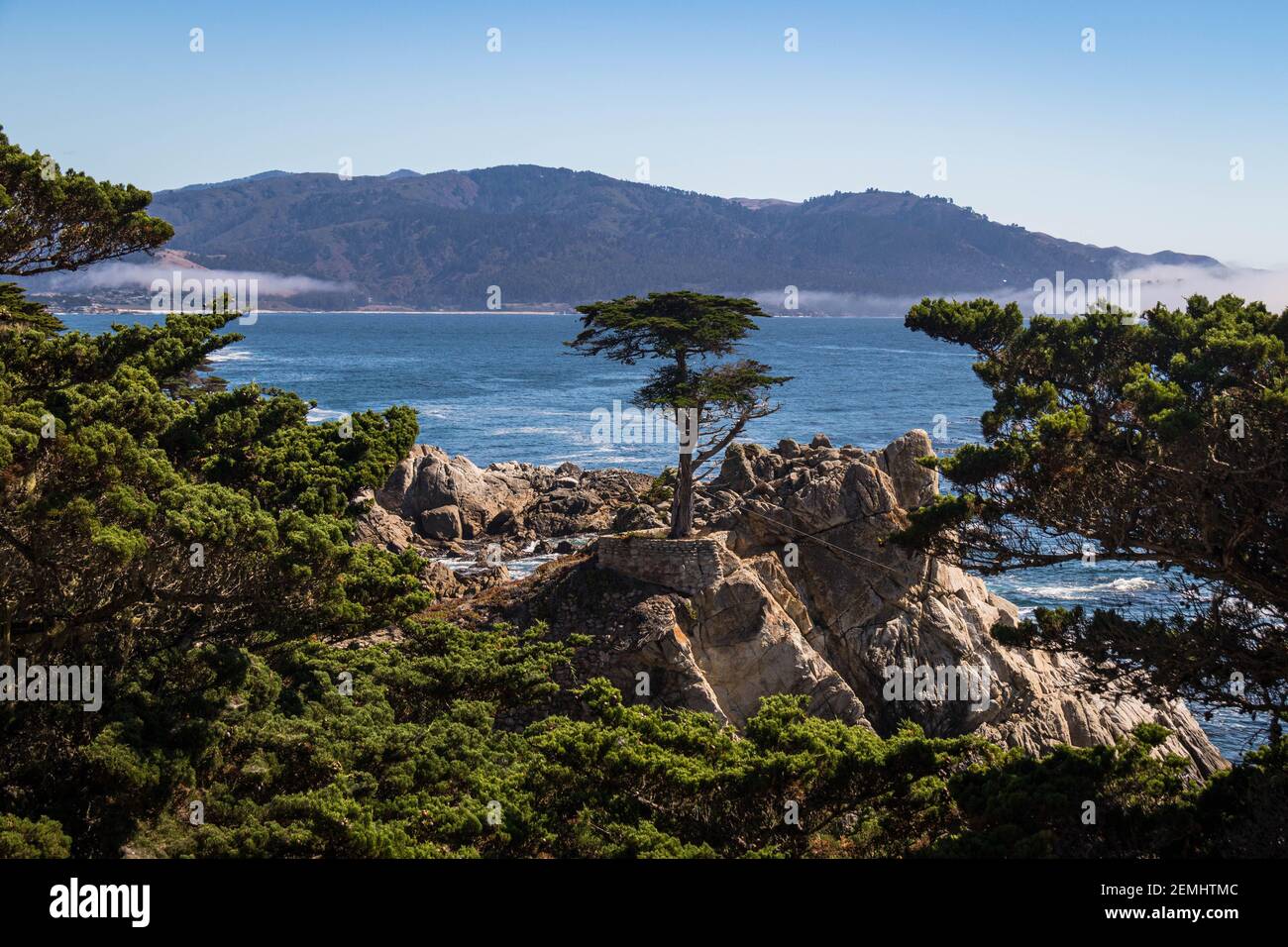 The Lone Cypress, 17 Mile Drive, California Stock Photo - Alamy The Lone Cypress, 17 Mile Drive, California Stock Photo - Alamy