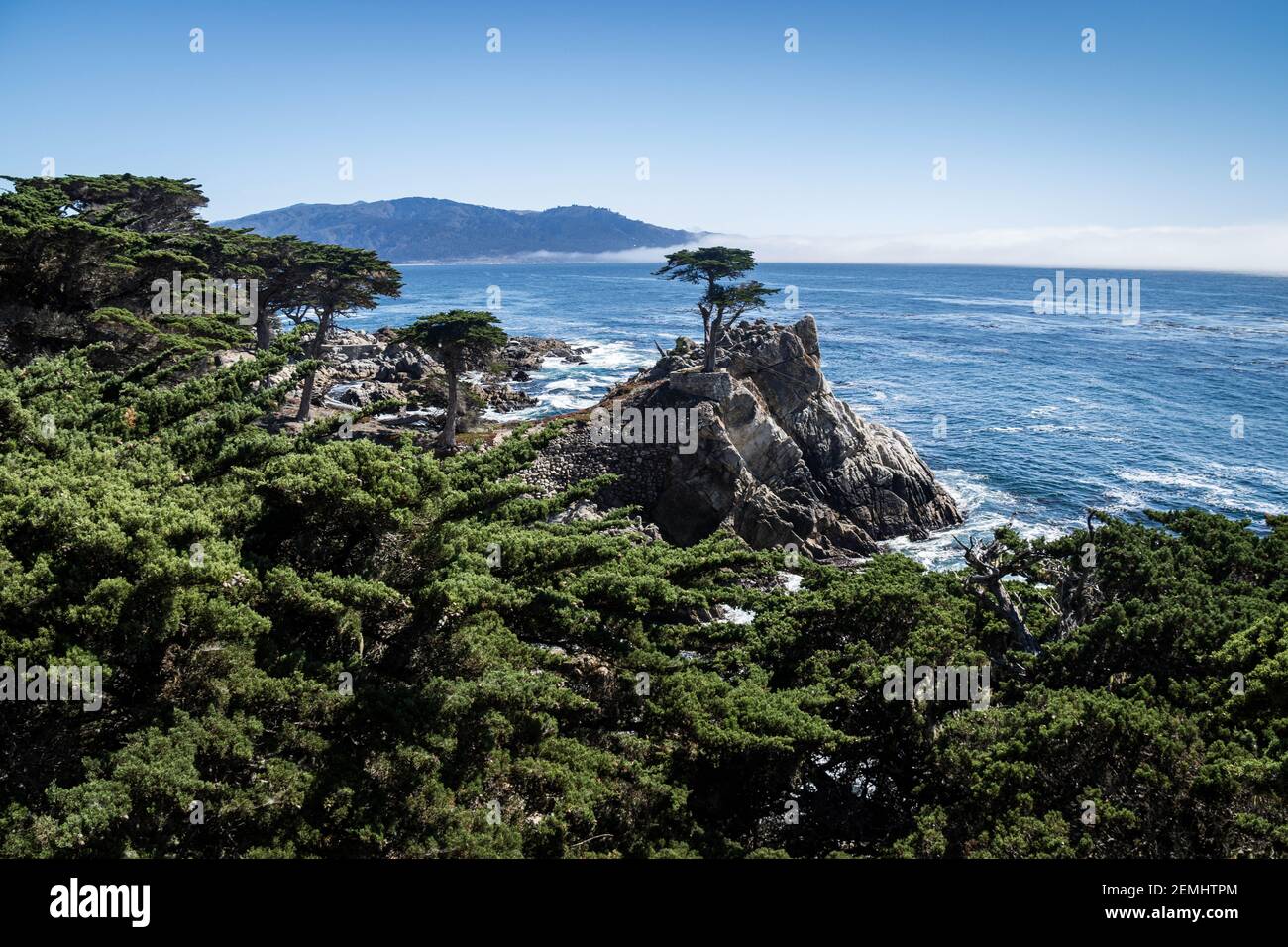 Lone cypress 17 mile drive hi-res stock photography and images - Alamy