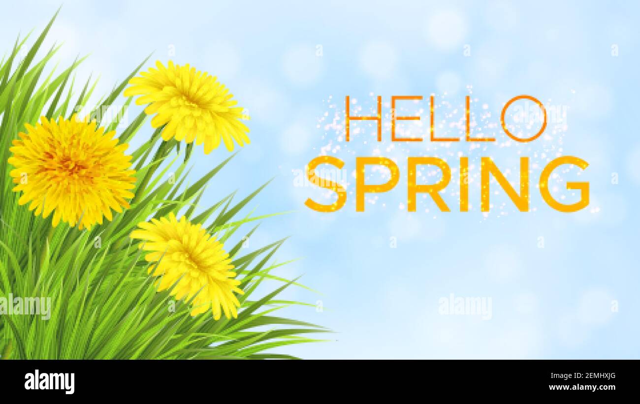 Spring light blue sky background with grass and dandelions. Template ...